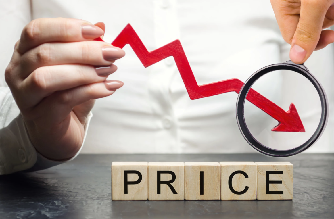 What is an Economy Pricing Strategy - How Does it Work? — Flintfox